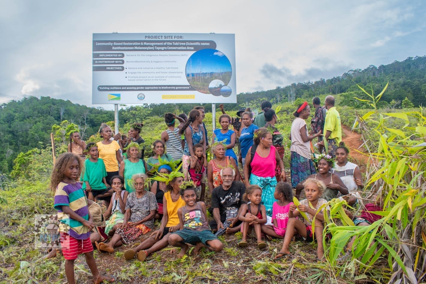 Hageulu Community Restores Endangered Tubi Trees in Isabel Province ...