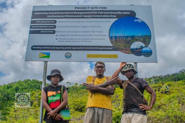 Hageulu Community Restores Endangered Tubi Trees in Isabel Province ...