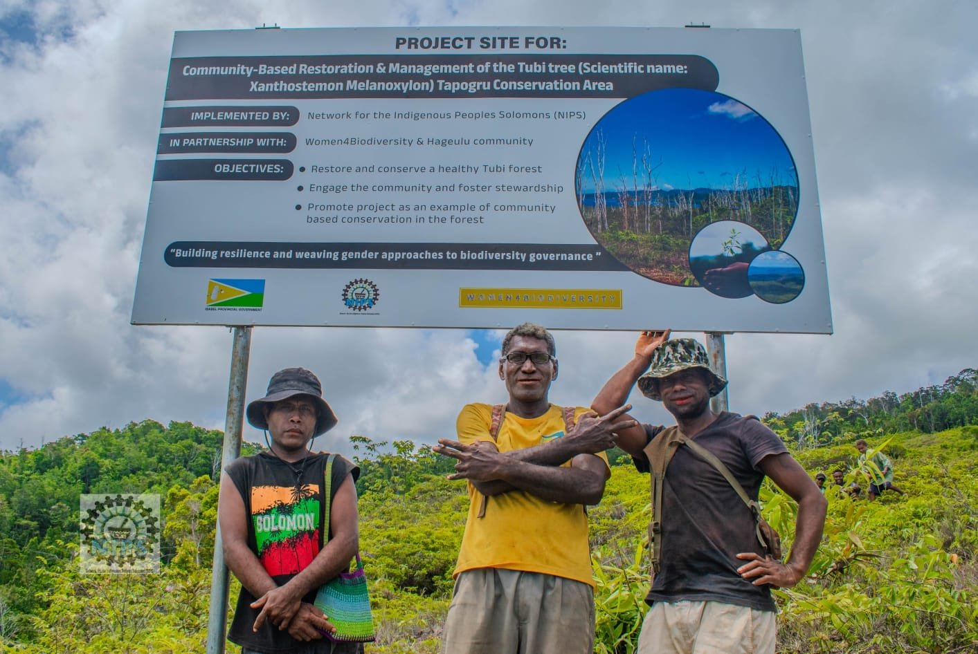 Hageulu Community Restores Endangered Tubi Trees in Isabel Province ...